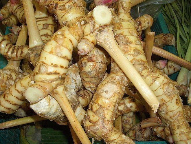 Ghimbirul-siamez (Alpinia galanga) - Aplicatii terapeutice - BodyGeek