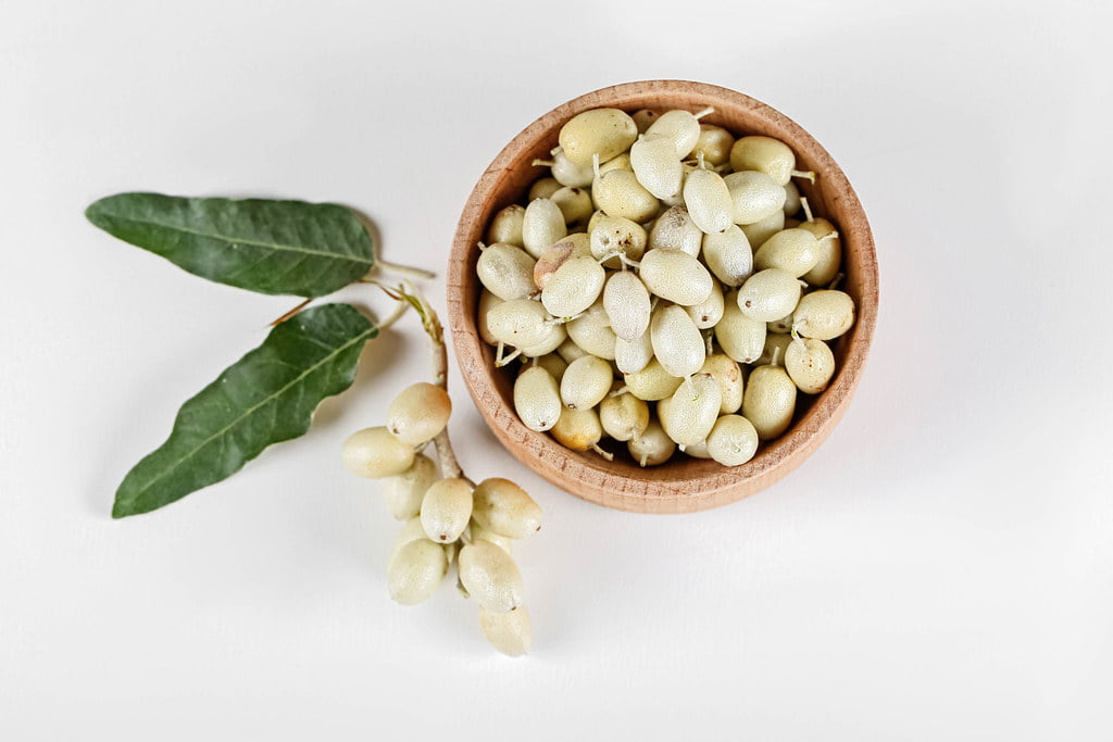 Proprietatile curative ale uleiului si fructelor de catina alba - BodyGeek
