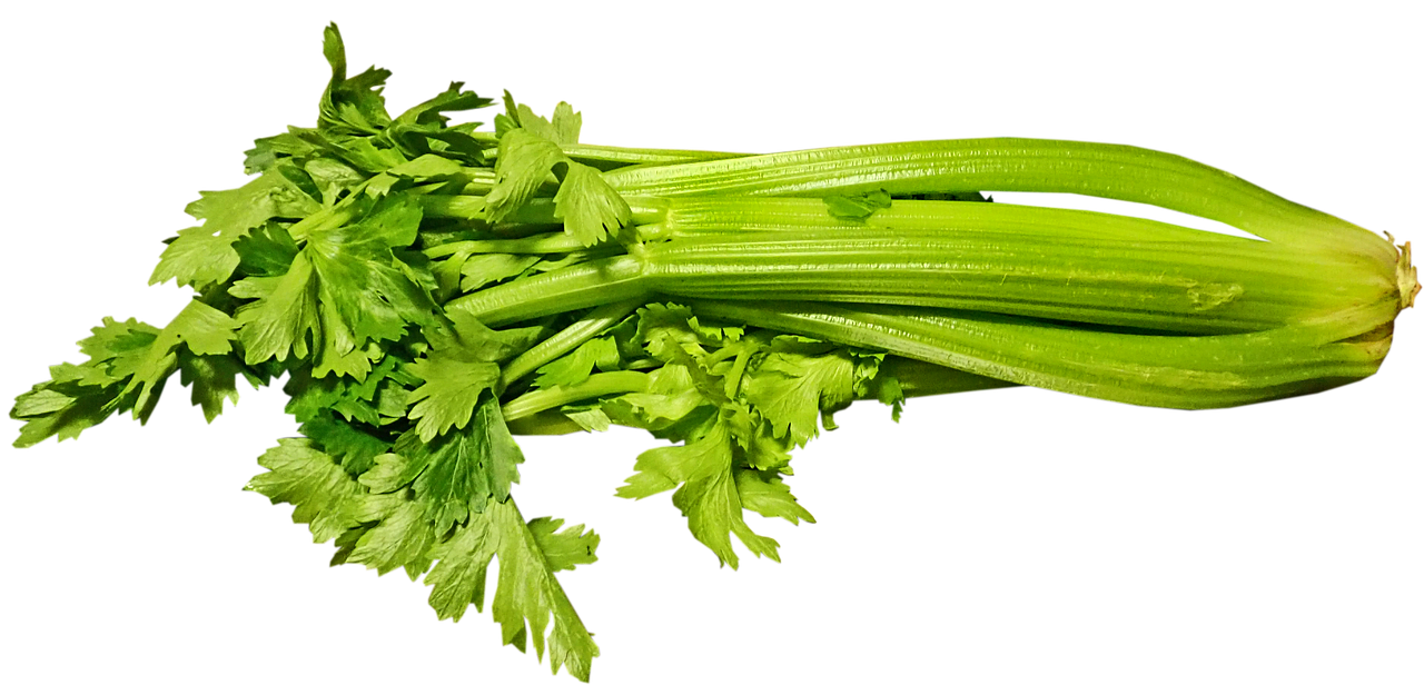 Ţelina este eficientă pentru cura de slăbire, are efect tonic şi ...