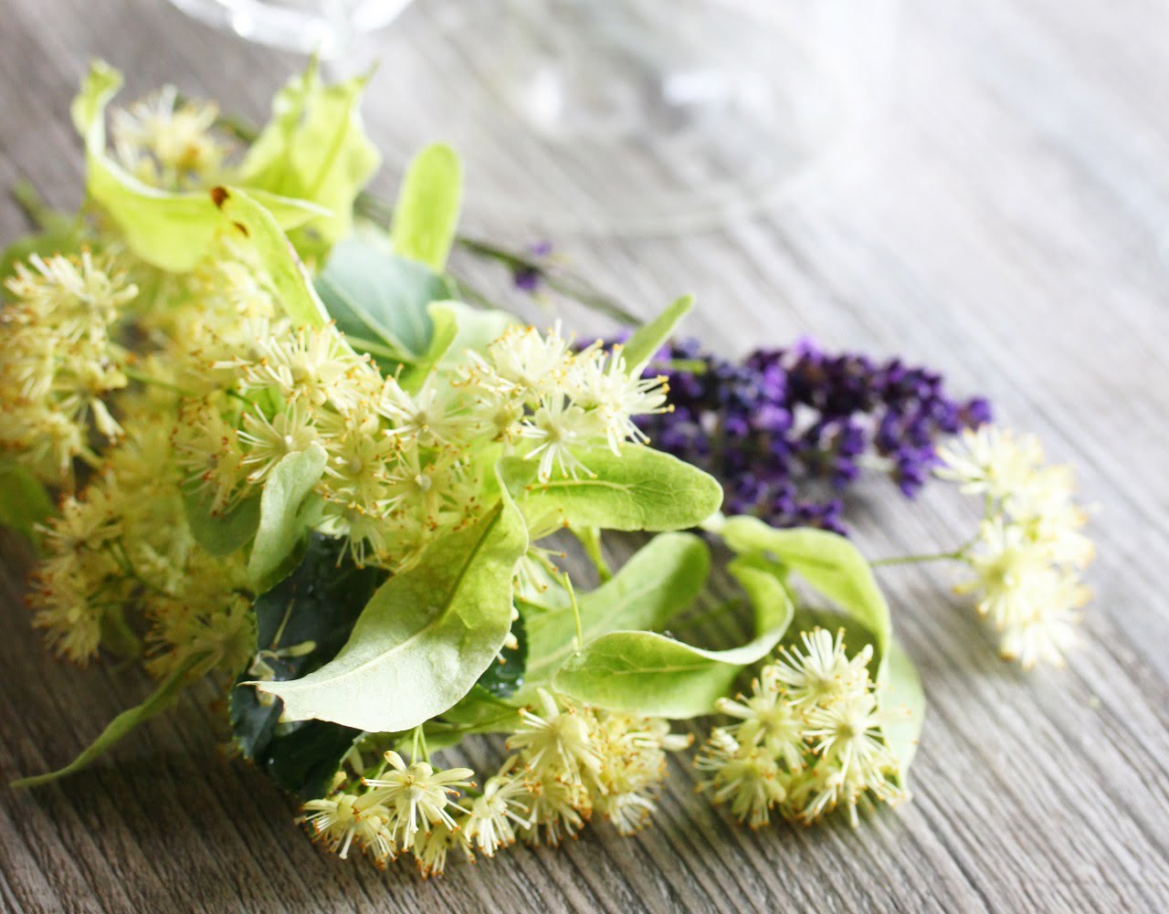 Tinctura din flori de tei – Beneficii pentru sistemul nervos, insomnie ...